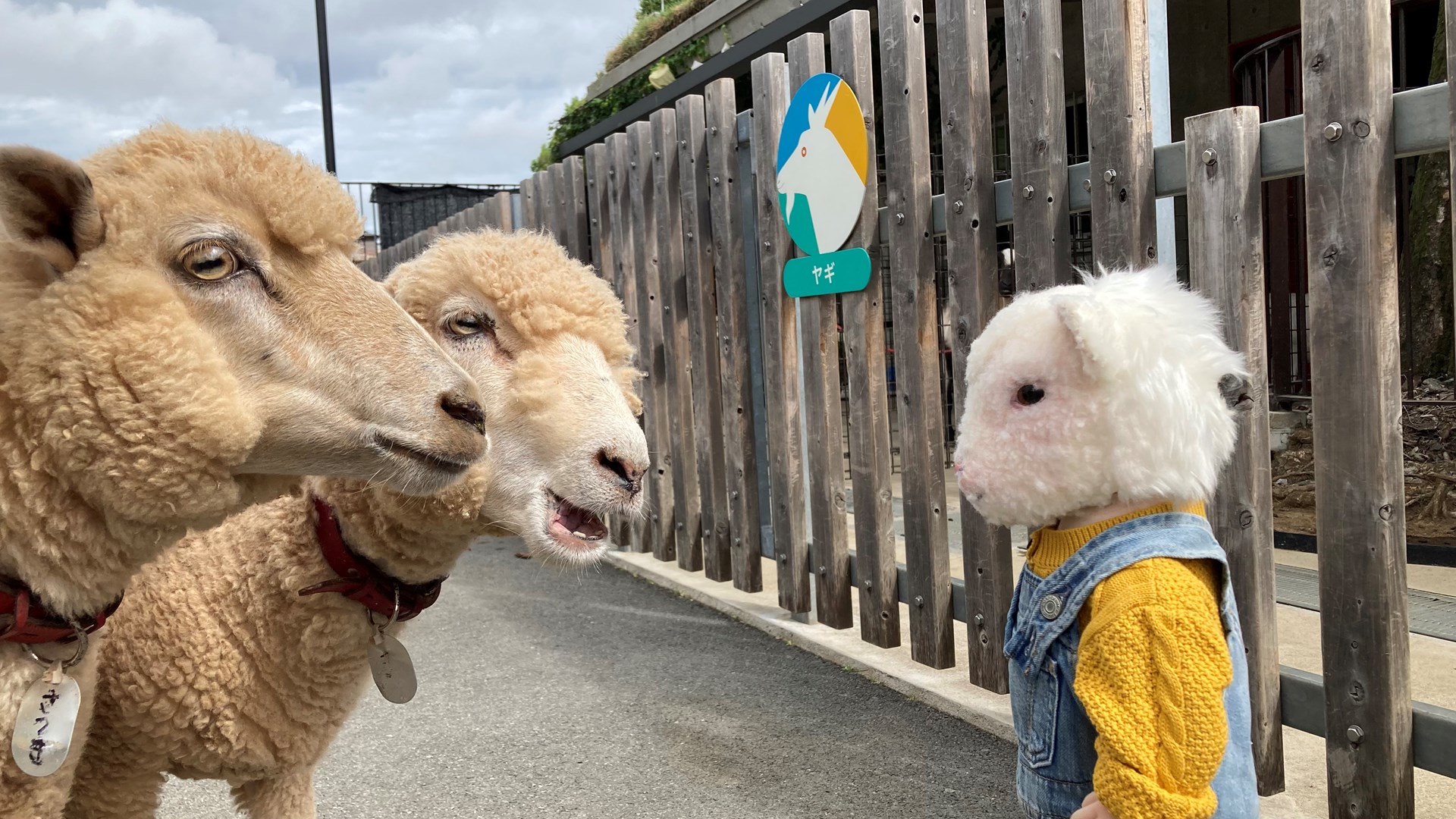 羊を前に何を想う？ 映画『LAMB／ラム』羊から産まれた“羊ではない何か”ことアダちゃんが日本の羊にご対面 – ホラー通信