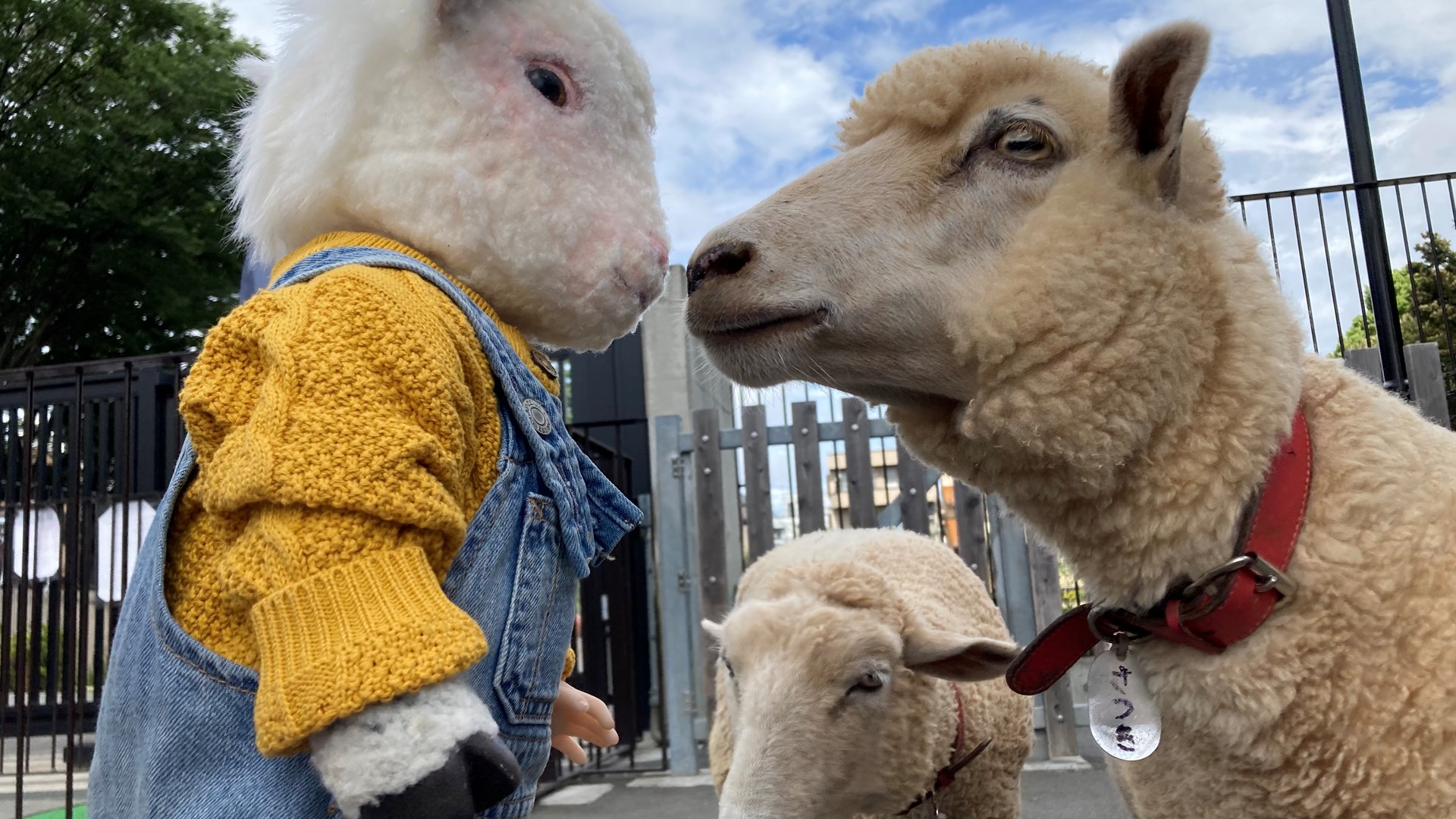 羊を前に何を想う？ 映画『LAMB／ラム』羊から産まれた“羊ではない何か”ことアダちゃんが日本の羊にご対面 – ホラー通信